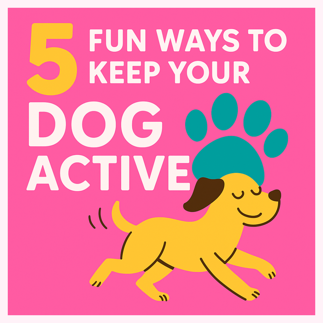5 Easy Ways to Keep Your Dog Active at Home – Ava's Pet Palace