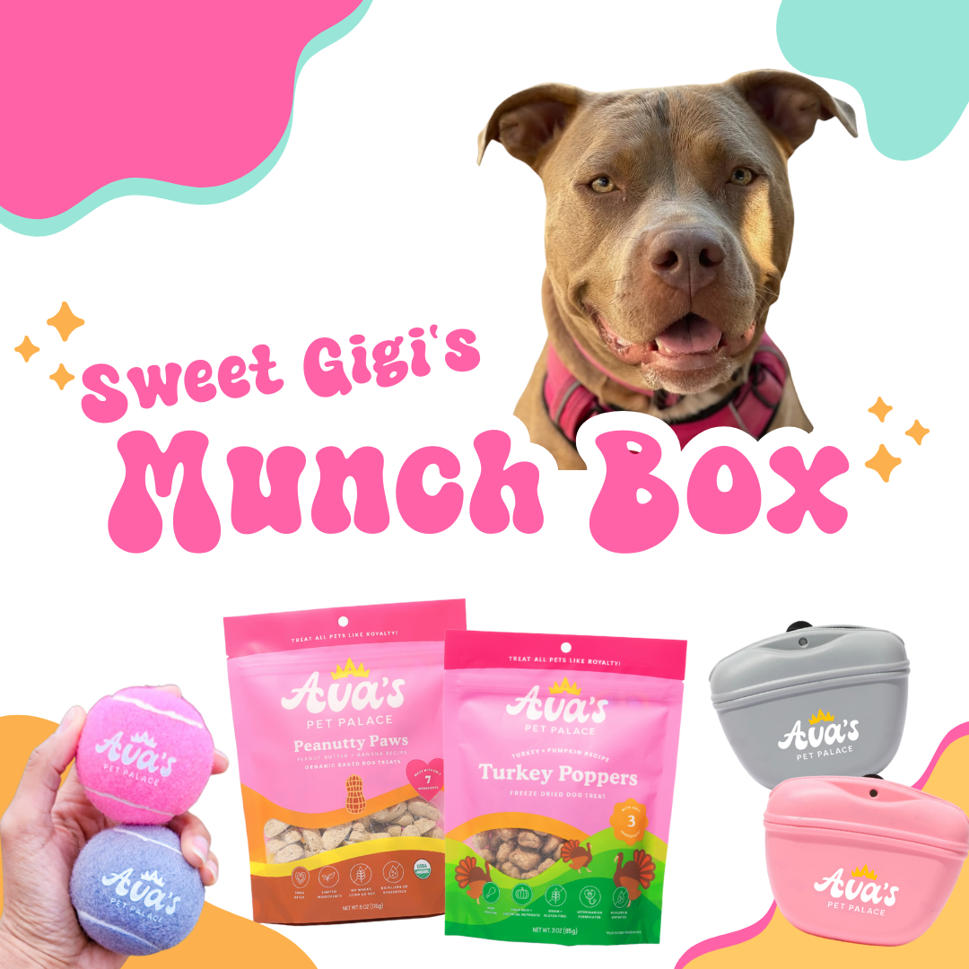 Sweet Gigi's Munch Box – Ava's Pet Palace